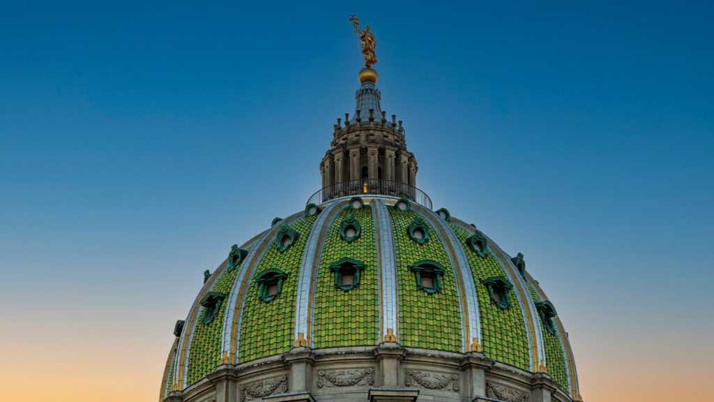 Home - Senator Picozzi