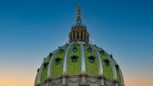 Home - Senator Picozzi