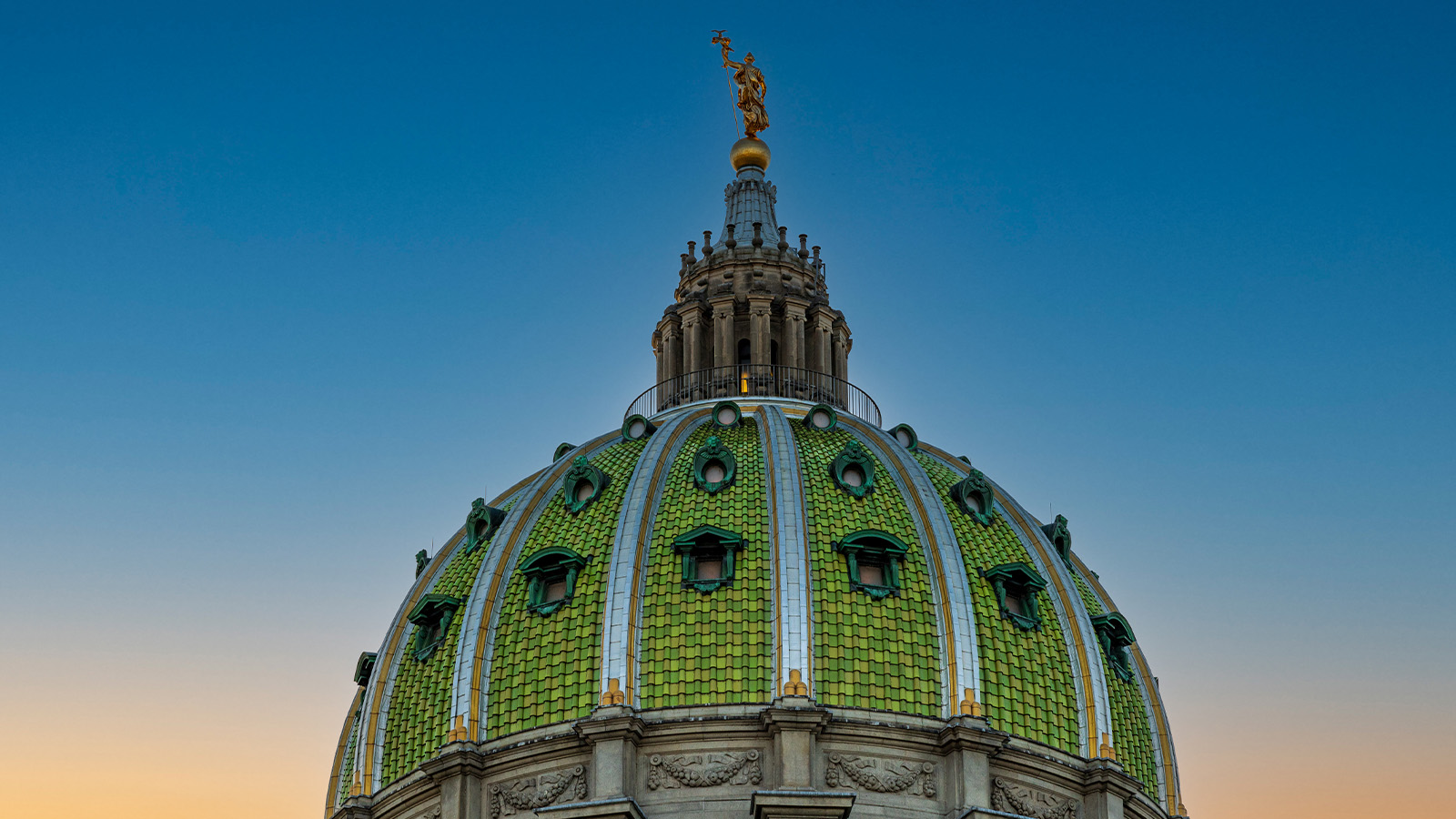 Home - Senator Picozzi